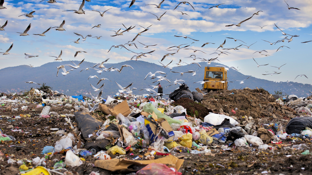 The Hidden Cost of Landfilling vs. Recycling - The Recycling Partnership