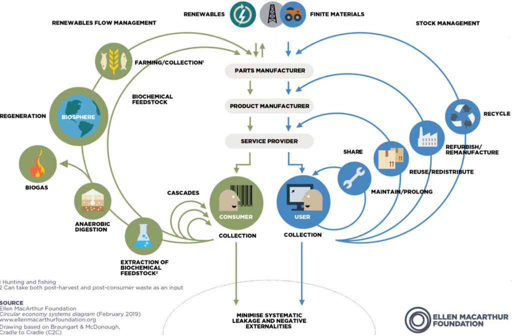 Circular Packaging 101 | Mapping the Way for the Future